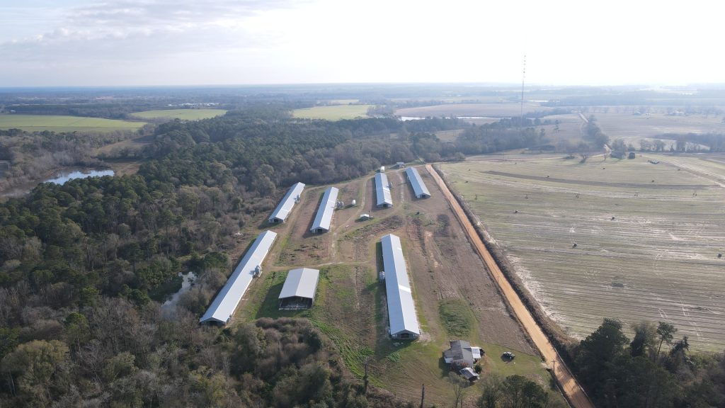 Agriculture - FlyLab Drones - Georgia Drone Photography